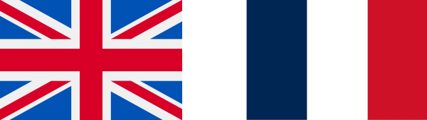 SRM - Solution rectification moteur